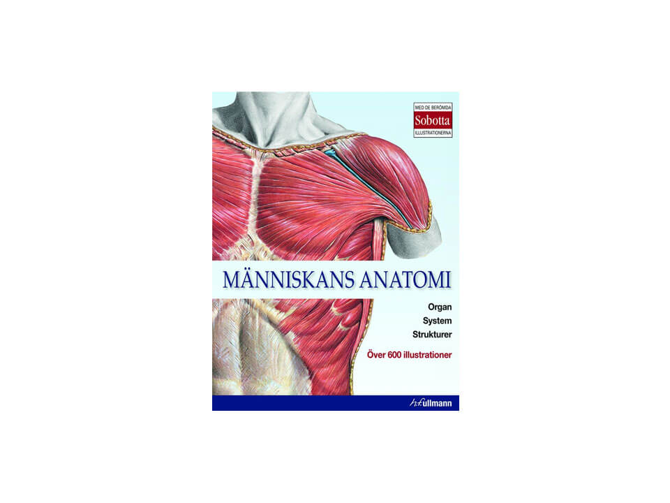 Människans anatomi – Derivata Medicus AB